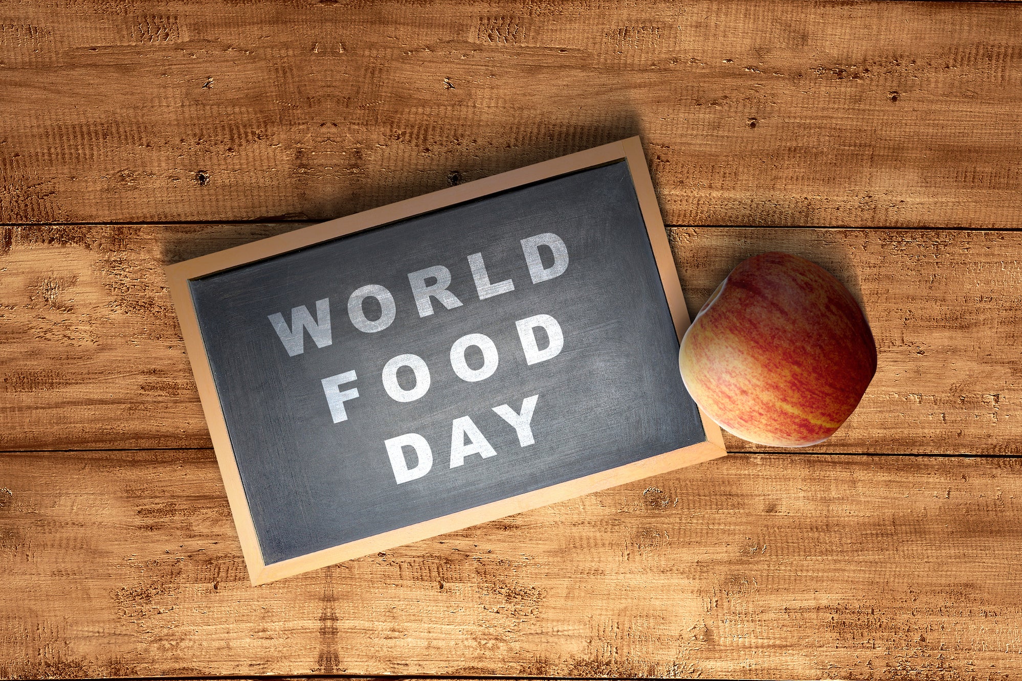 World Food Day 2020 Activities and Ideas — PlanBee