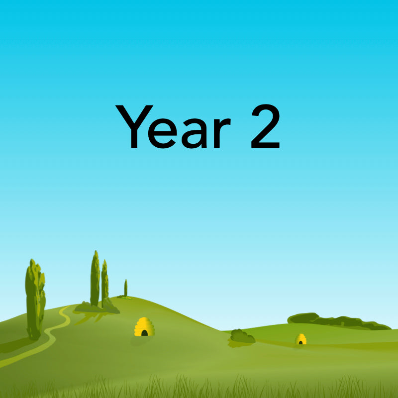Year 2 Lesson Plans by PlanBee Teaching Resources
