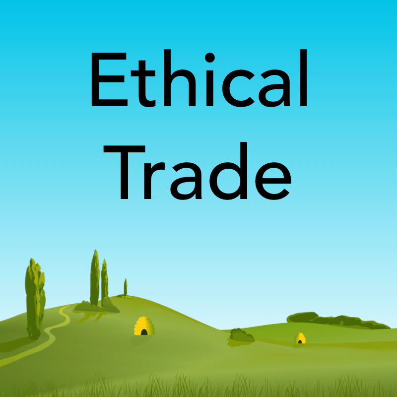 Ethical Trade Fair Trade Lesson Plans by PlanBee