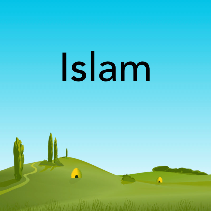Islam KS1 and Islam KS2 RE lessons and worksheets by PlanBee