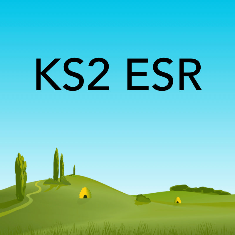Citizenship KS2 ESR Lesson Planning by PlanBee