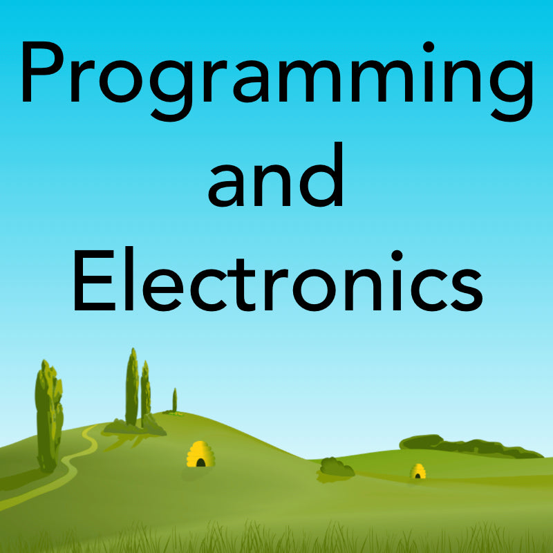 Programming and Electronics DT lesson planning by PlanBee