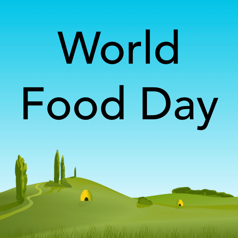 Downloadable World Food Day Activity Resources by PlanBee