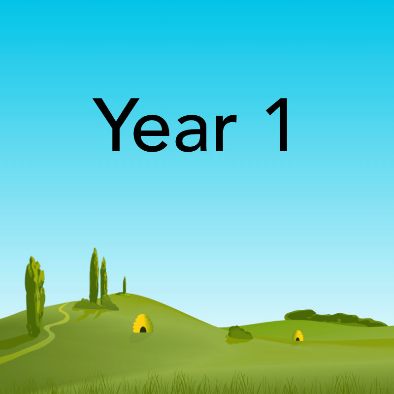 Year 1 Lesson Plans by PlanBee Teaching Resources