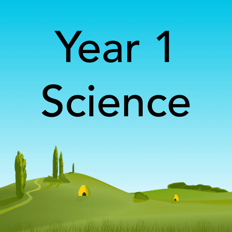 Year 1 Science Lessons & Worksheets | Curriculum Aligned — PlanBee