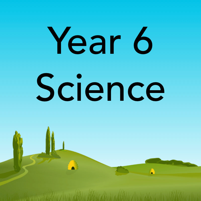 Year 6 Science Worksheets & Topics | Science for Year 6 — PlanBee