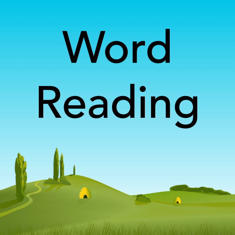 English Word reading Programme of Study Lessons by PlanBee
