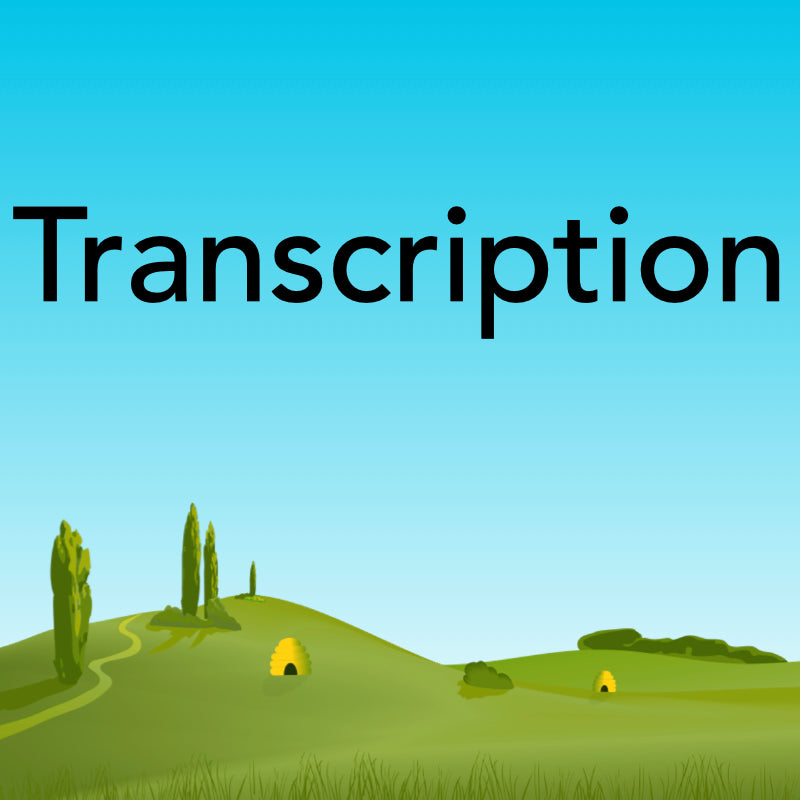 Writing Transcription Schemes of work by PlanBee