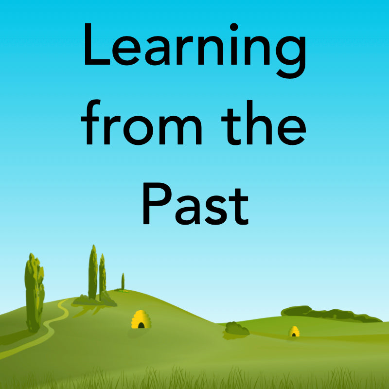 Learning from the Past — PlanBee