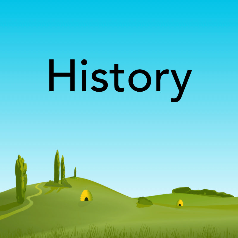 Primary History Resources & Lesson Plans — PlanBee