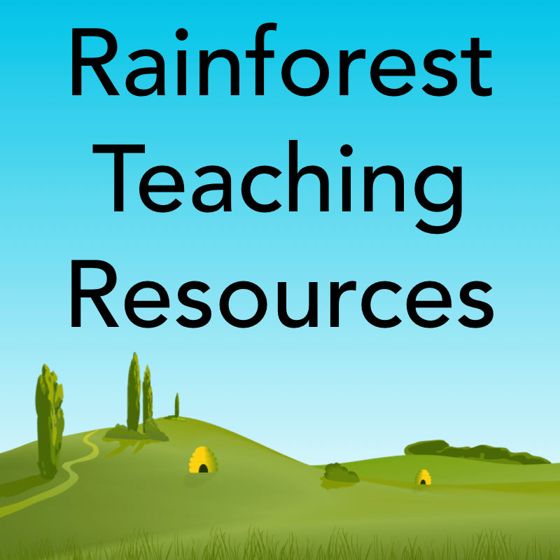 Rainforest Teaching Resources for KS2 and KS1 by PlanBee