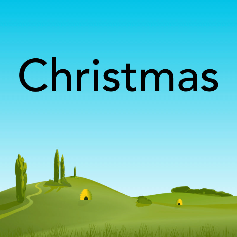 Christmas Activities KS1 and KS2 PlanBee Teaching Resources