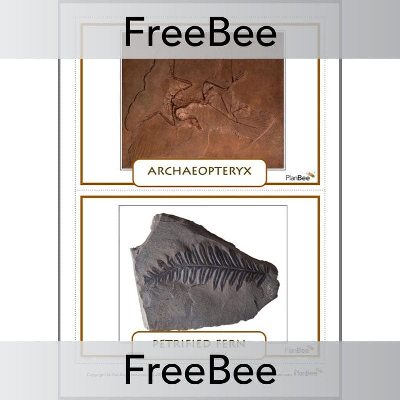 Downloadable Stone Age Teaching Resources by PlanBee
