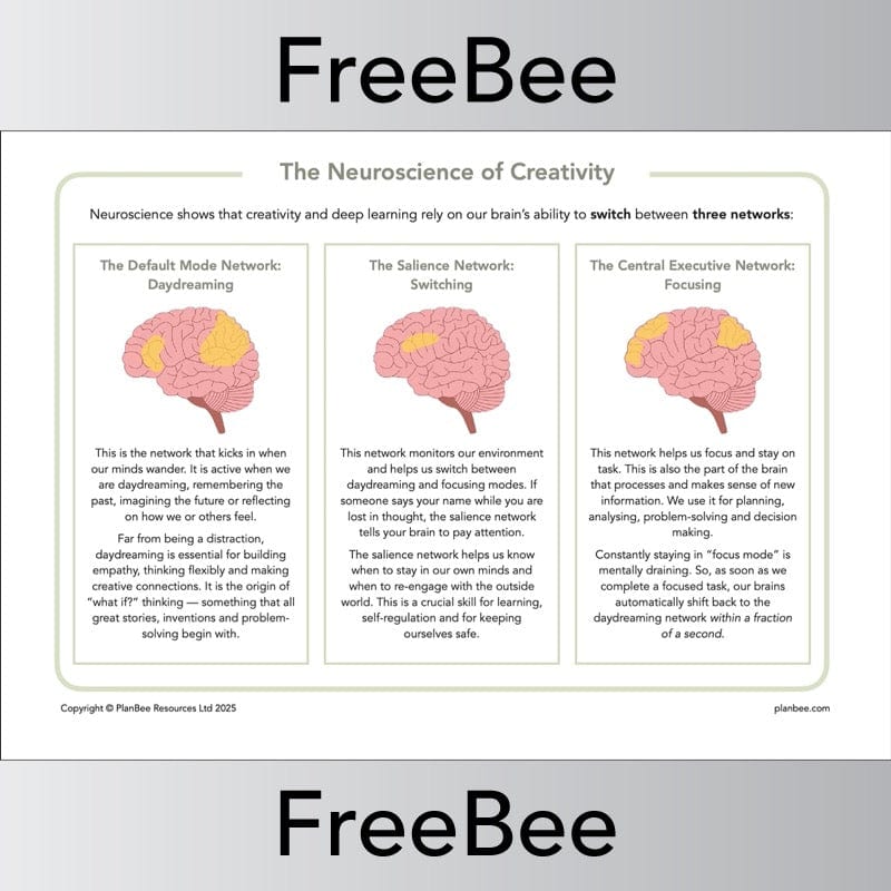 FREE The Creative Brain Resource Pack — PlanBee