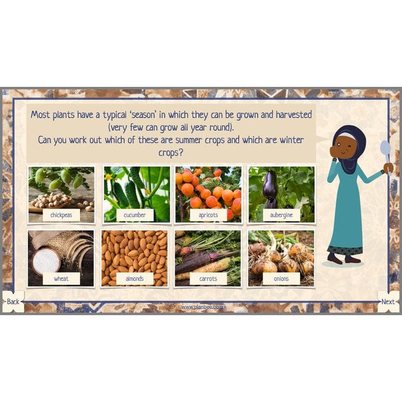 The Food of West Asia KS2 DT lessons | PlanBee