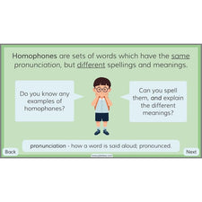 Homophones KS2 | Year 3 English Lesson Pack — PlanBee