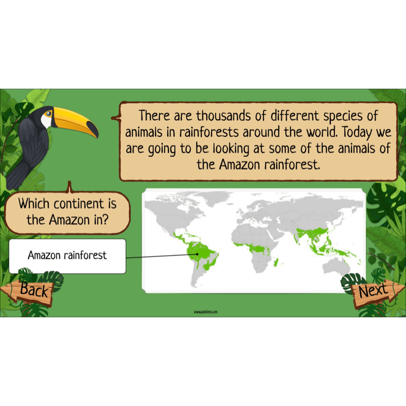 Rainforest Habitats KS2 Science Lesson Pack — PlanBee