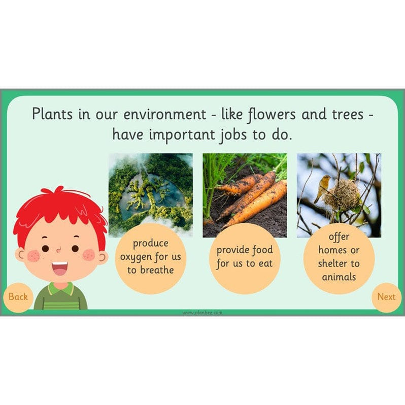 Roles and Responsibilities KS1 PSHE by PlanBee