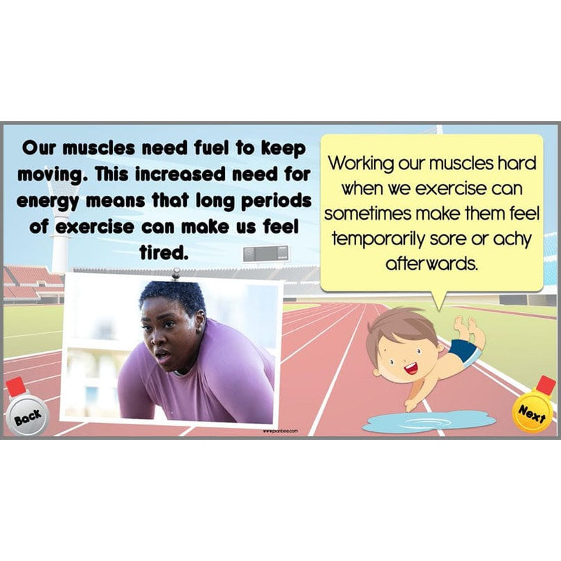 Olympic Games Year 5/6 Lesson Pack by PlanBee