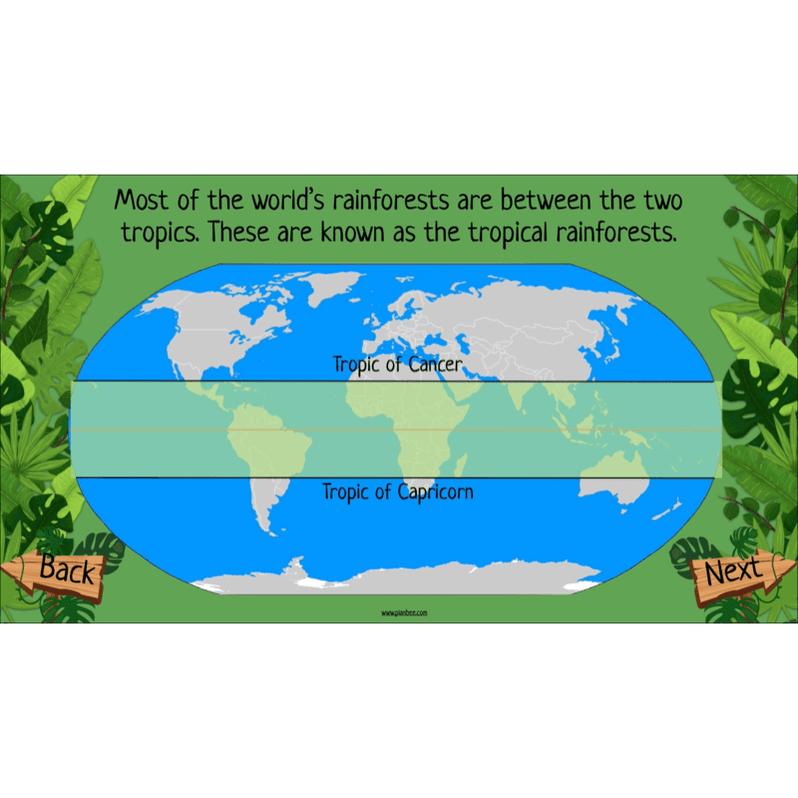 The Rainforest Biome KS2 | Geography Lesson Pack — PlanBee