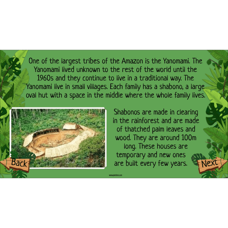 The Rainforest Biome KS2 | Geography Lesson Pack — PlanBee