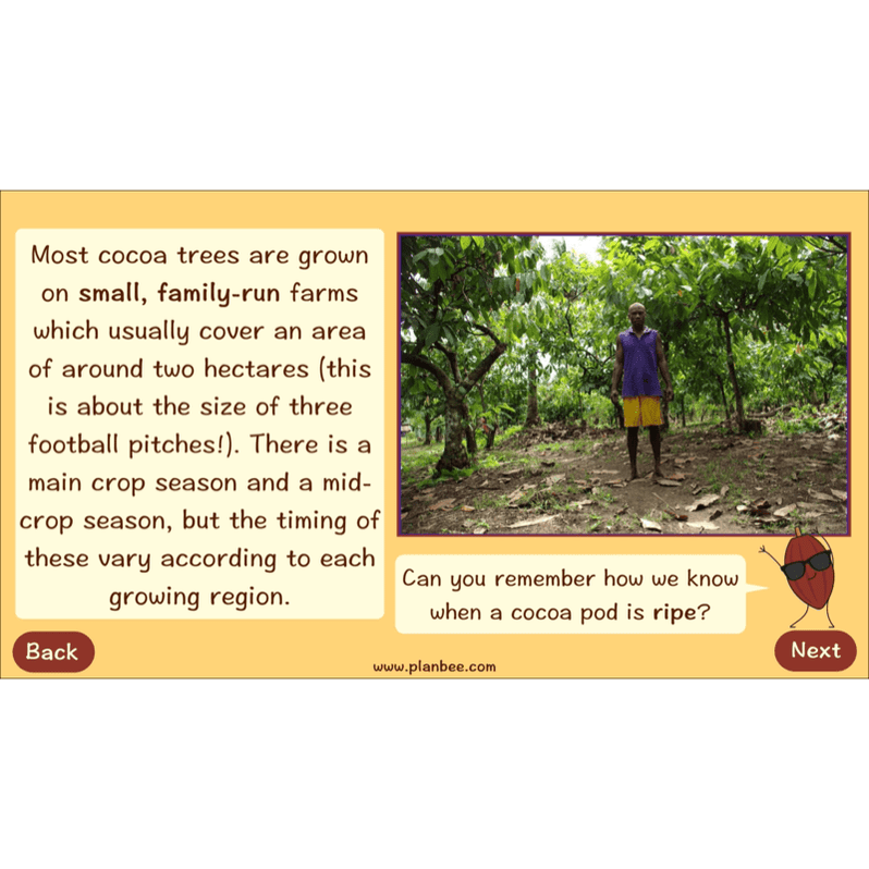 Where does Chocolate come from? | KS2 Geography lessons — PlanBee
