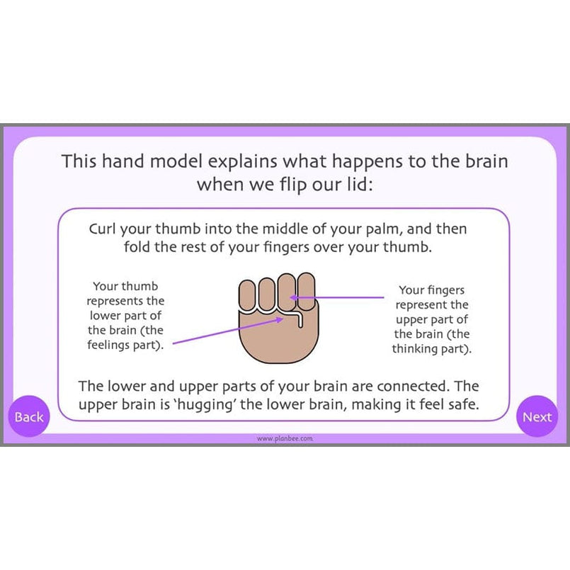 Managing Emotions KS2 PSHE lessons | PlanBee