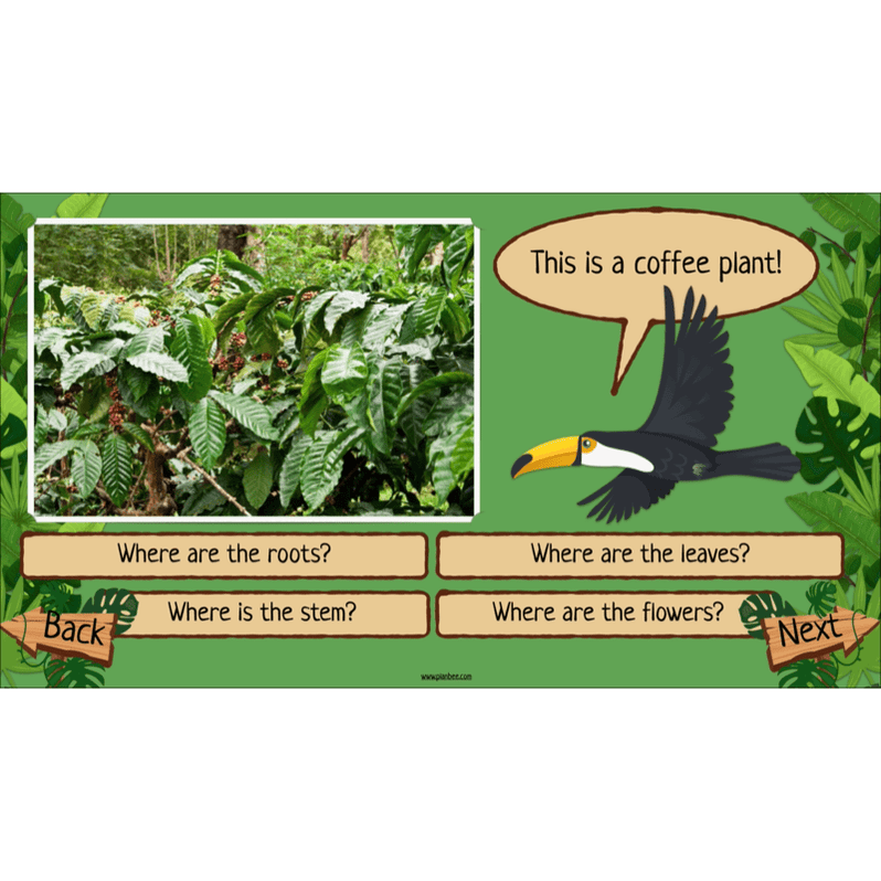 Rainforest Habitats KS2 Science Lesson Pack — PlanBee