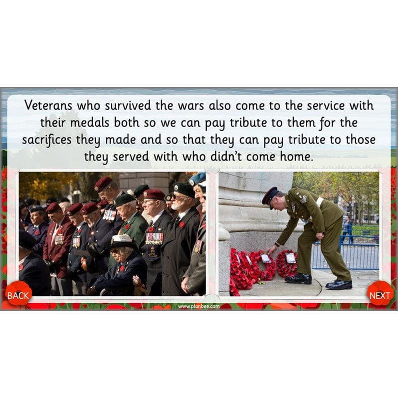 KS1 Remembrance Day Lesson | Year 2 History Planning — PlanBee