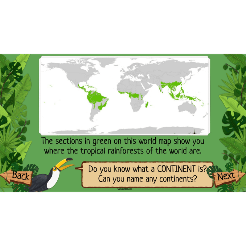 The Rainforest Biome KS2 | Geography Lesson Pack — PlanBee