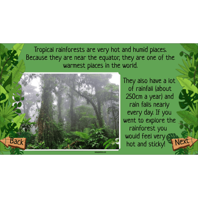 The Rainforest Biome KS2 | Geography Lesson Pack — PlanBee