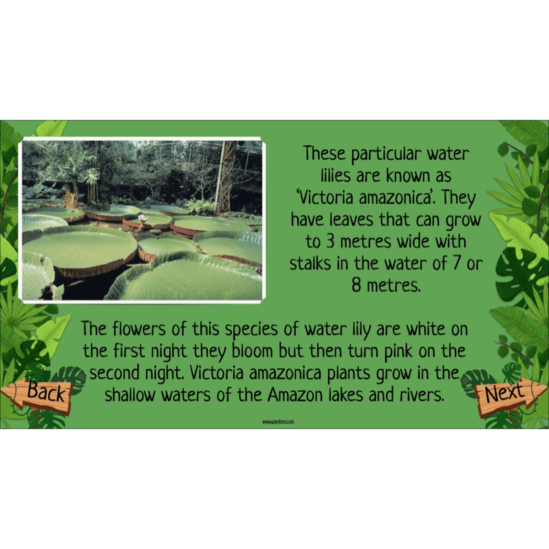 Rainforest Habitats KS2 Science Lesson Pack — PlanBee