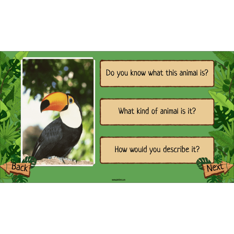 Rainforest Habitats KS2 Science Lesson Pack — PlanBee