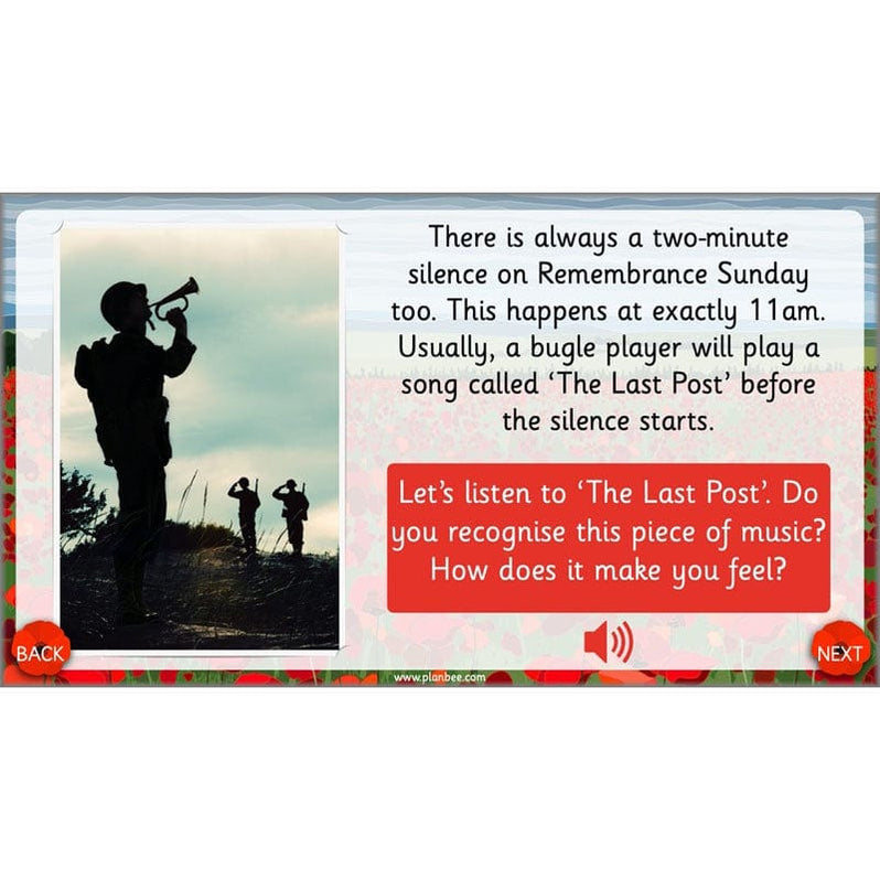 KS1 Remembrance Day Lesson | Year 2 History Planning — PlanBee