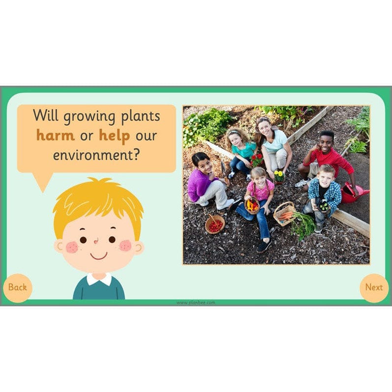 Roles and Responsibilities KS1 PSHE by PlanBee