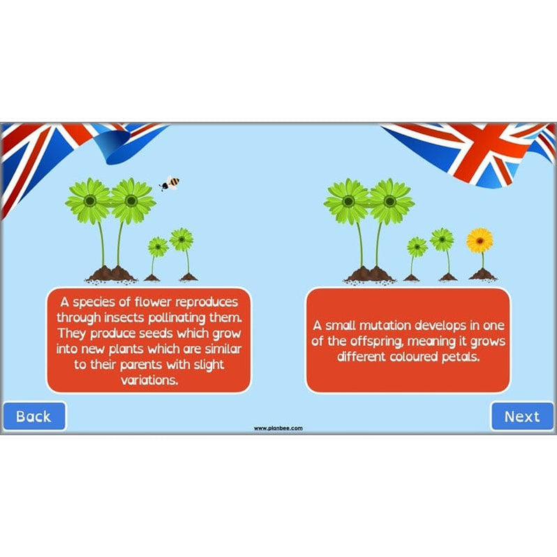 Great British Scientists KS2 Science Lessons by PlanBee