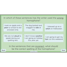 Homophones KS2 | Year 3 English Lesson Pack — PlanBee