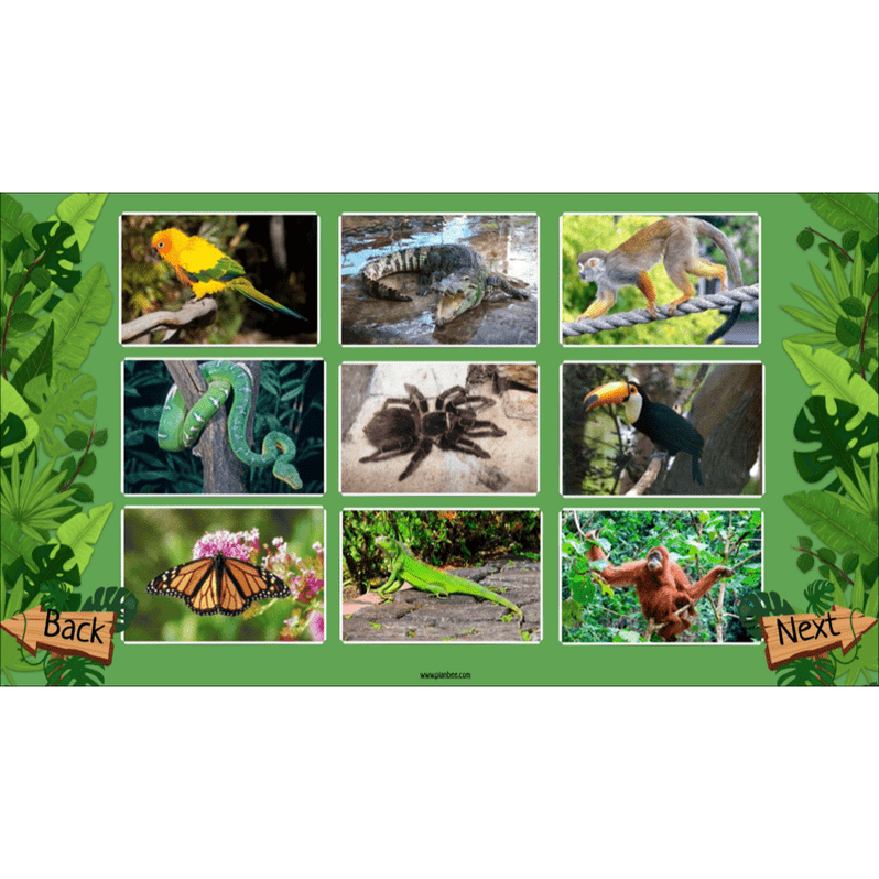 Rainforest Habitats KS2 Science Lesson Pack — PlanBee