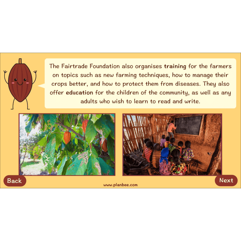 Where does Chocolate come from? | KS2 Geography lessons — PlanBee