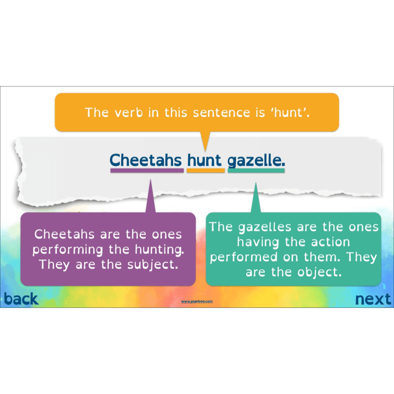 Non-chronological Reports Year 6 English Planning — PlanBee