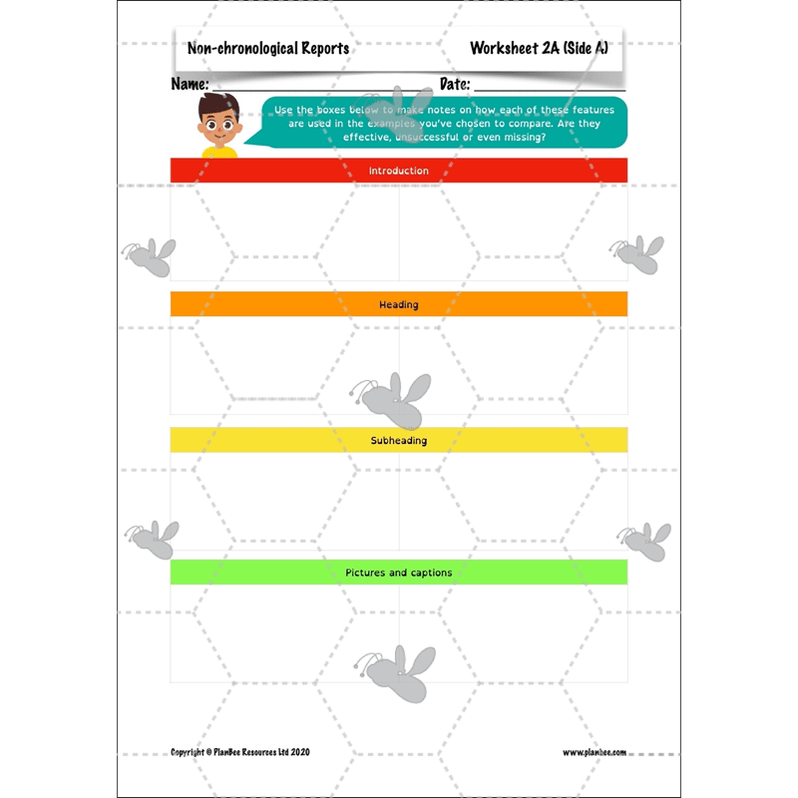 Non-chronological Reports Year 6 English Planning — PlanBee