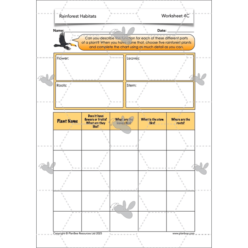 Rainforest Habitats KS2 Science Lesson Pack — PlanBee
