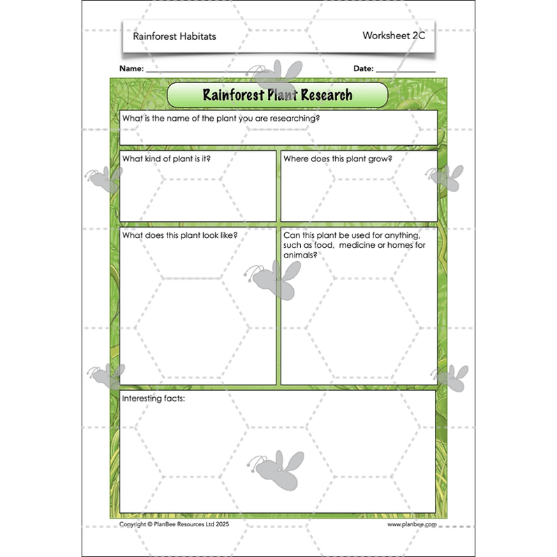 Rainforest Habitats KS2 Science Lesson Pack — PlanBee