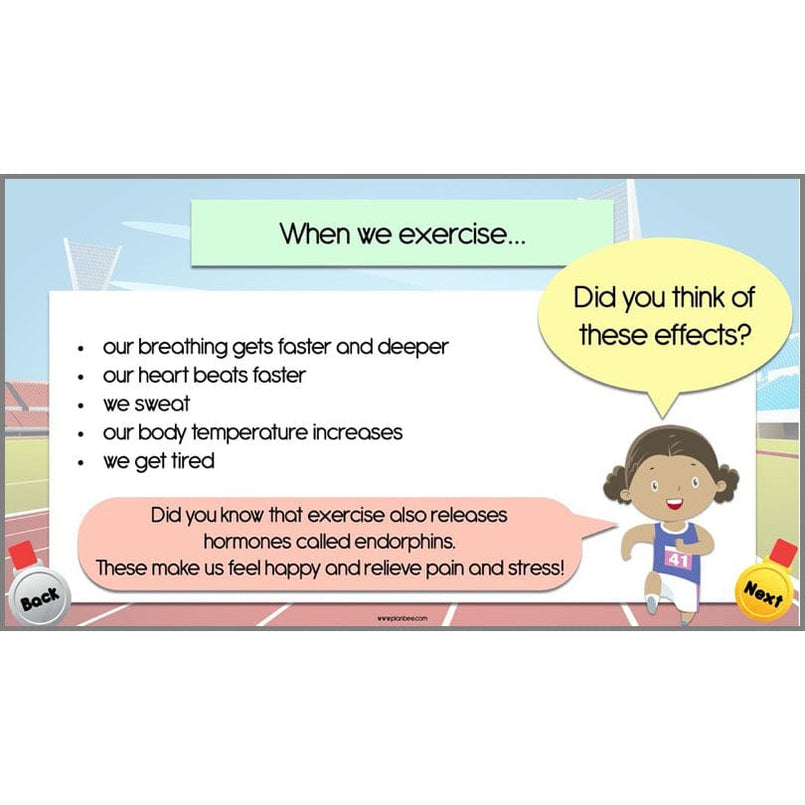Olympic Games Year 5/6 Lesson Pack by PlanBee