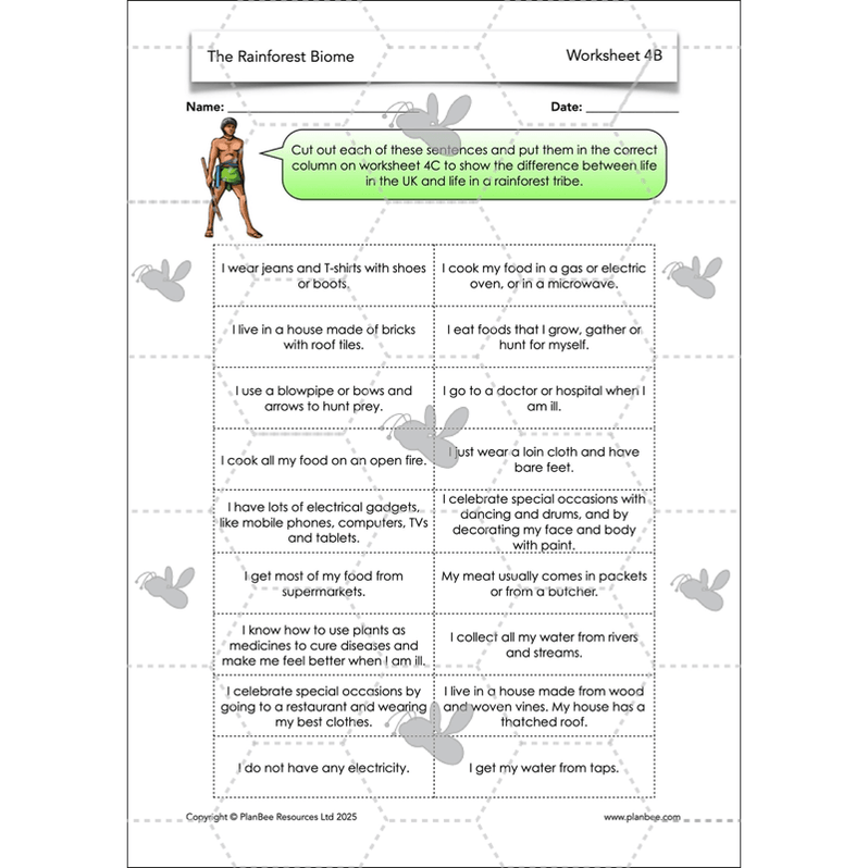 The Rainforest Biome KS2 | Geography Lesson Pack — PlanBee