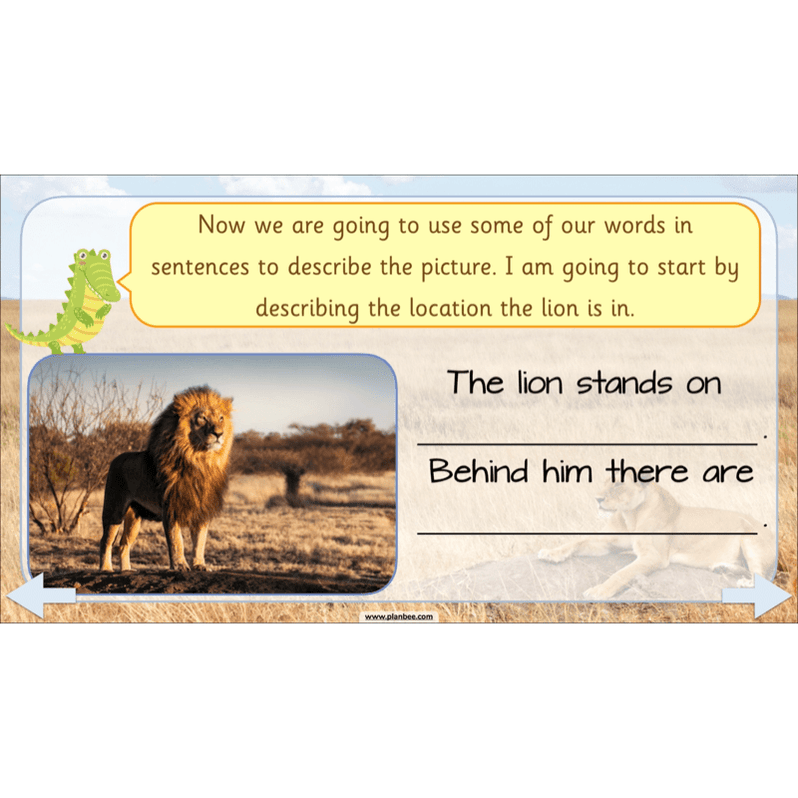 We're Going on a Lion Hunt KS1 English Lesson Planning — PlanBee