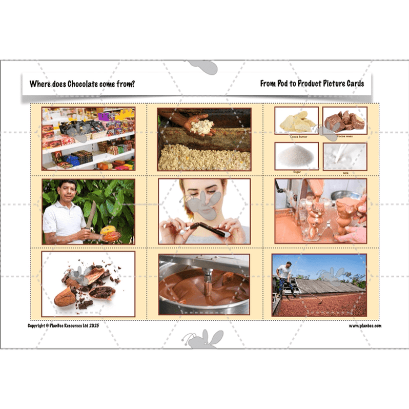 Where does Chocolate come from? | KS2 Geography lessons — PlanBee