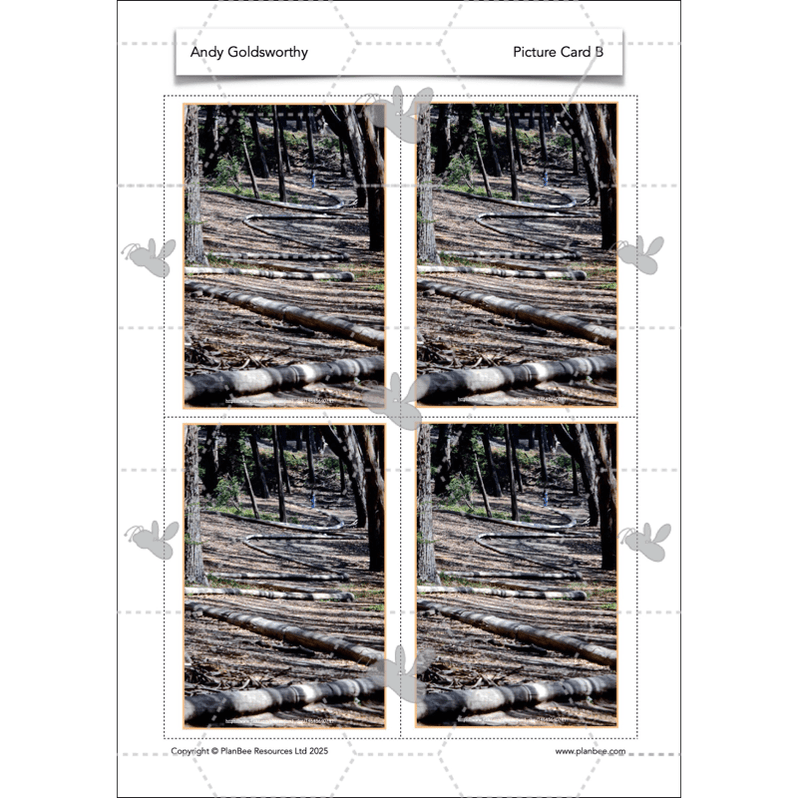 Andy Goldsworthy KS1 Art Lesson Plans created by PlanBee