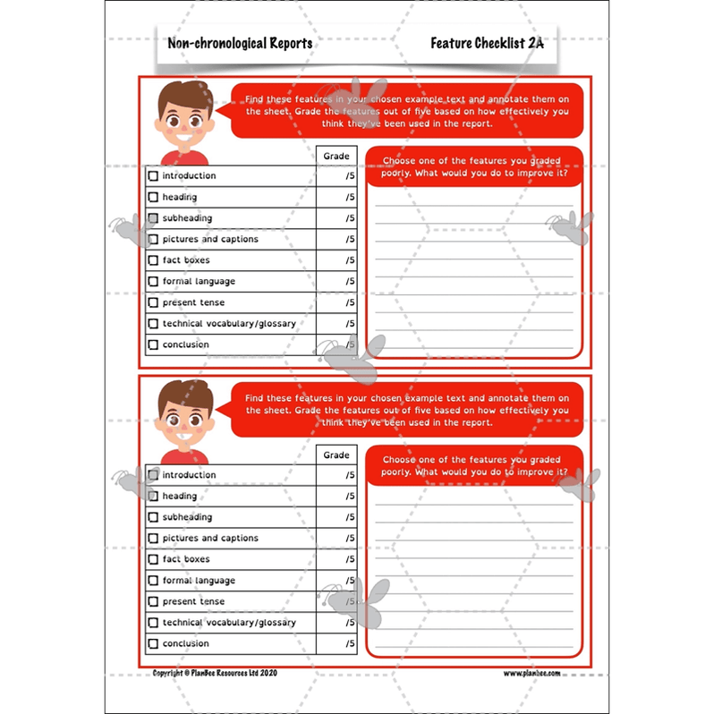 Non-chronological Reports Year 6 English Planning — PlanBee