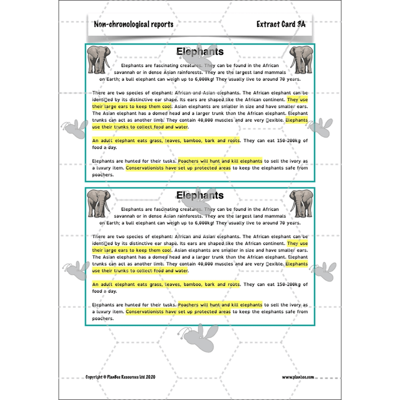 Non-chronological Reports Year 6 English Planning — PlanBee